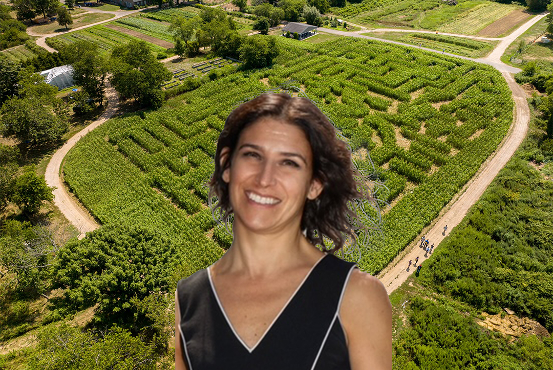 A Corn Maze Grows at the Queens County Farm Museum with Jennifer Walden ...