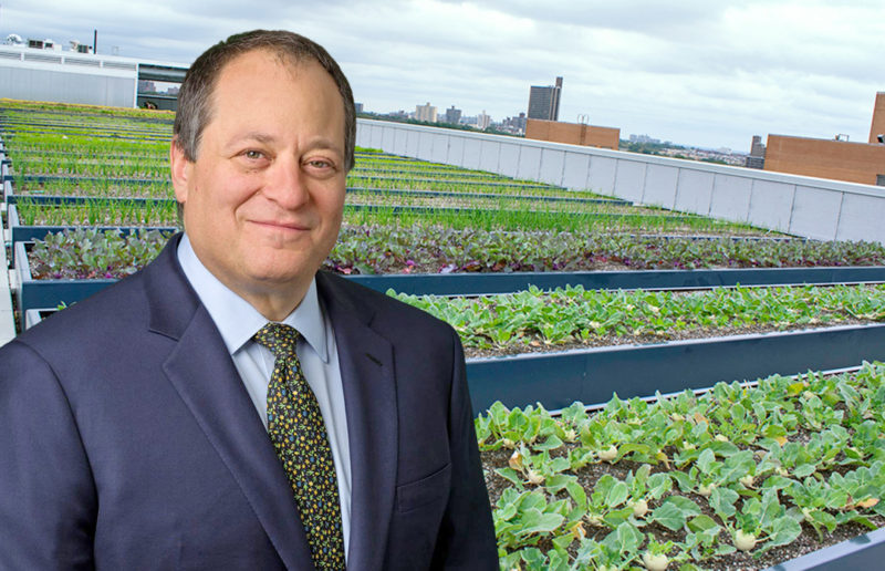 Delivering Health and Wellness to the Bronx w David Perlstein, MD, MBA ...